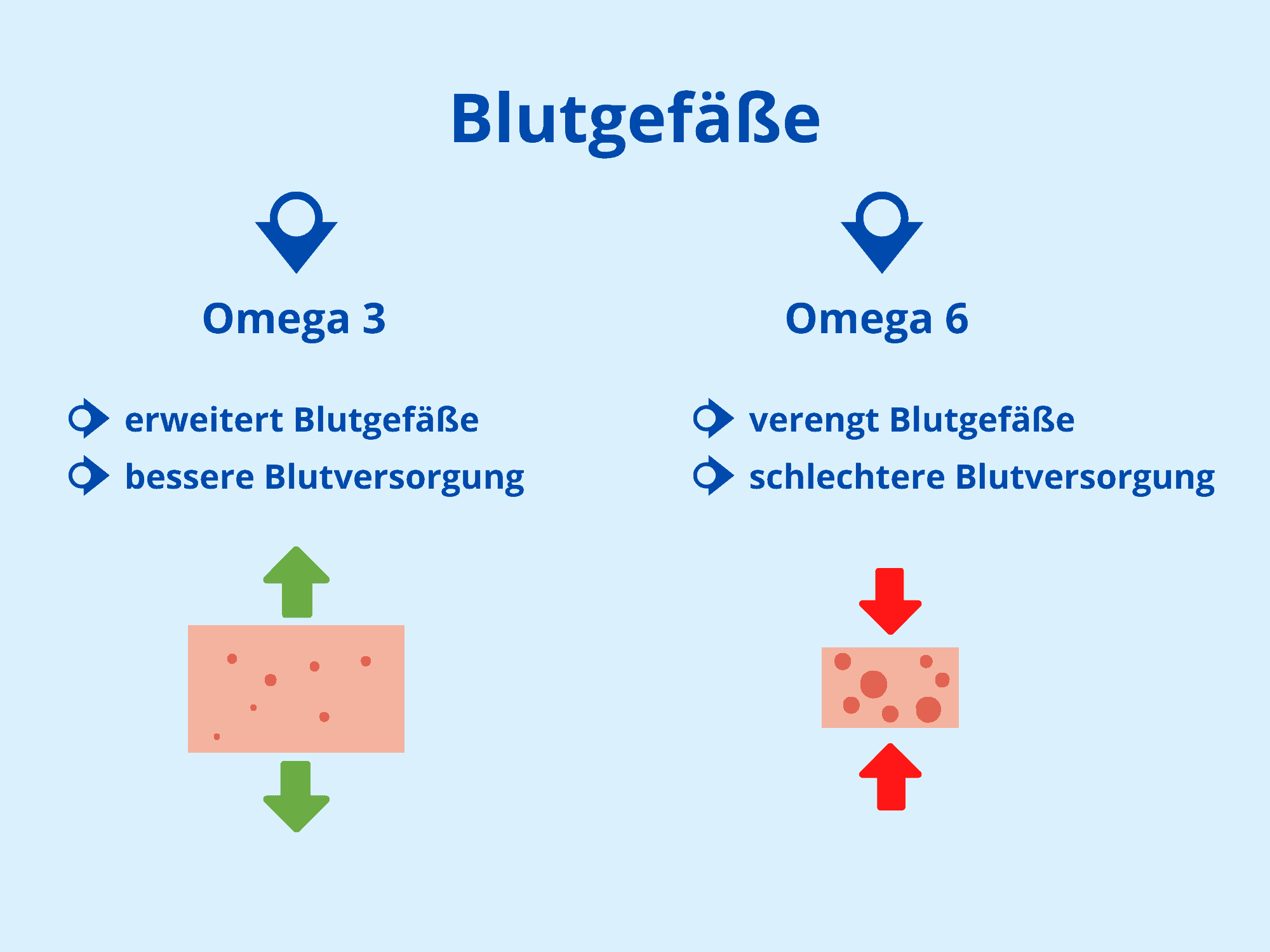 Omega 3 Fettsäuren - Ausführlich & Verständlich erklärt